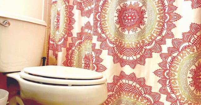 Interoception, Toileting, and Potty Training: Understanding Inner Body ...