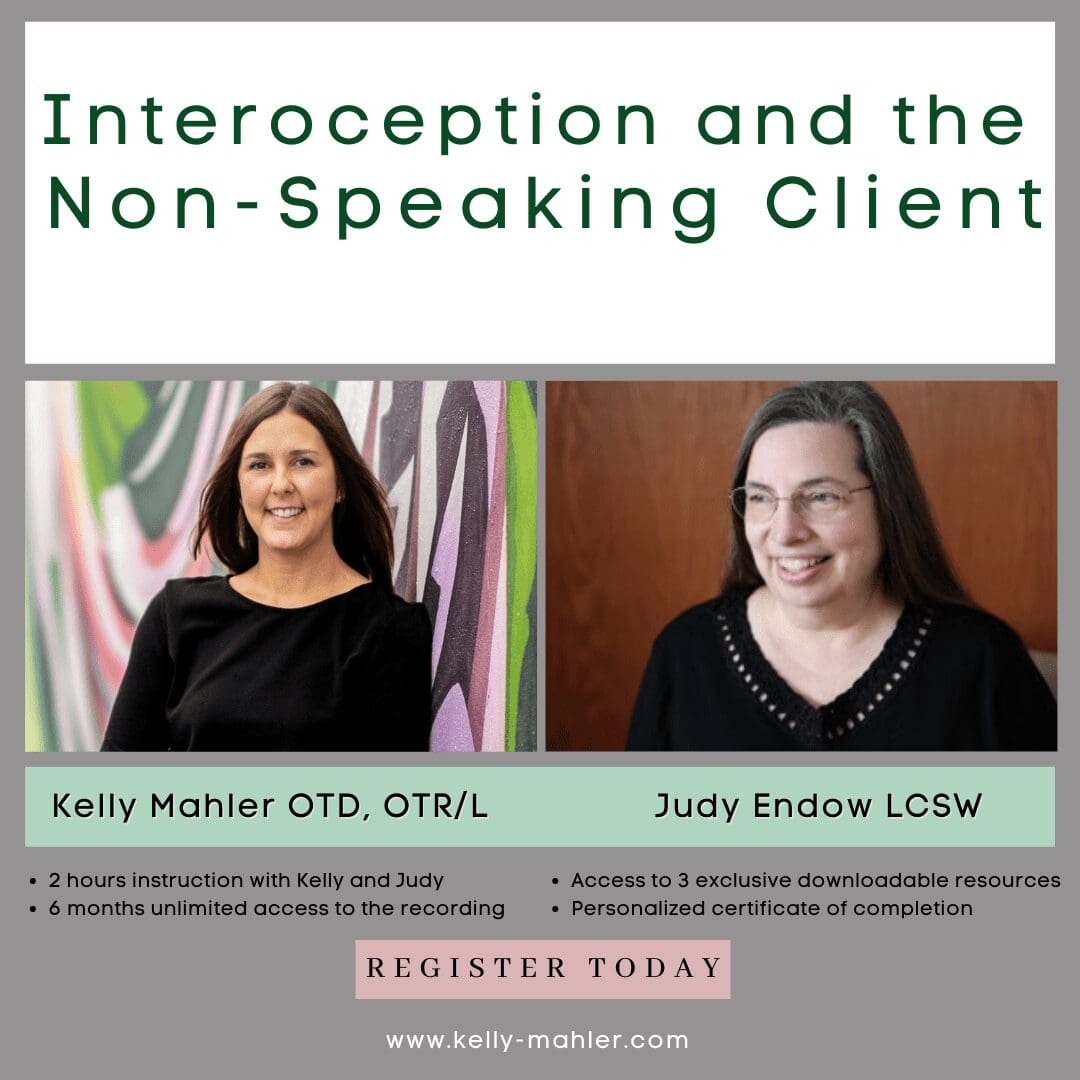 Our Favorite Interoception Highlights | Kelly Mahler Blog